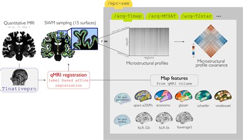 Mpc Swm — Micapipe Documentation