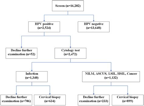 Atypical Squamous Cells Cervix