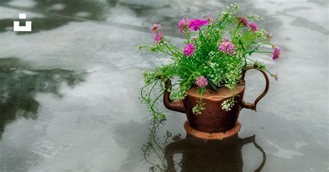 표면에 화분에 심은 식물 사진 Unsplash의 무료 꽃 이미지