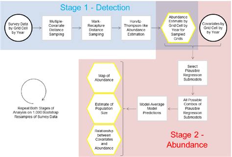 A Schematic Of The Workflow For Both Stages Of The Statistical Download Scientific Diagram