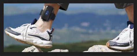 Personal Tracking At Best Price In Chennai By Live ID