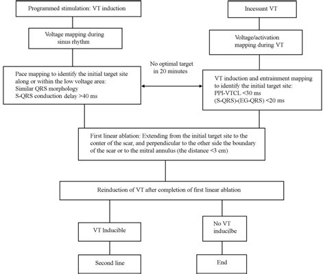 Flow Diagram Of The Stepwise Approach For Mapping And Linear Ablation