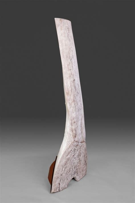 Assisted Inversion Museum For Art In Wood