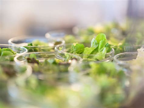 Eindrücke Annie Heuser Schule