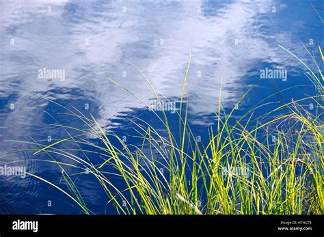 Grass At Waters Edge And Clouds Reflecting In Water Boundary Waters