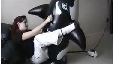 Rene And Shamu Frisky Business Inflatables Clips4sale