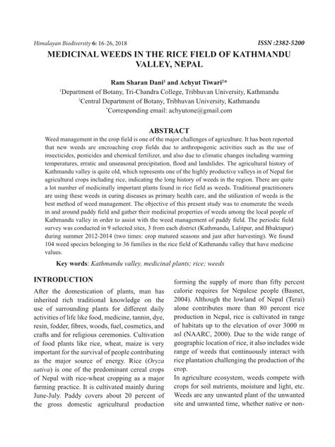Medicinal Weeds In The Rice Field Of Kathmandu Valley Nepal Docslib