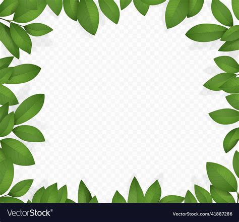 Leaf Frame Vector