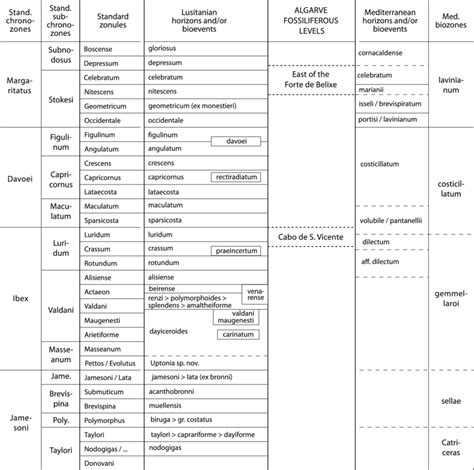 Stratigraphic Framework Of The Fossiliferous Episodes With Download Scientific Diagram