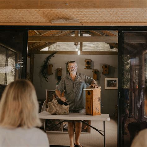 Hollow Log Homes Nest Boxes For Wildlife In Australia