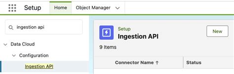 Part 1 Data Cloud Mulesoft Integration Connected App Ingestion Api And Data Stream Settings