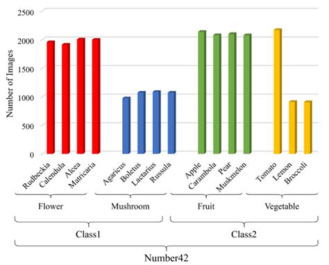 Distribution Of Data Belonging To Classes Download Scientific Diagram