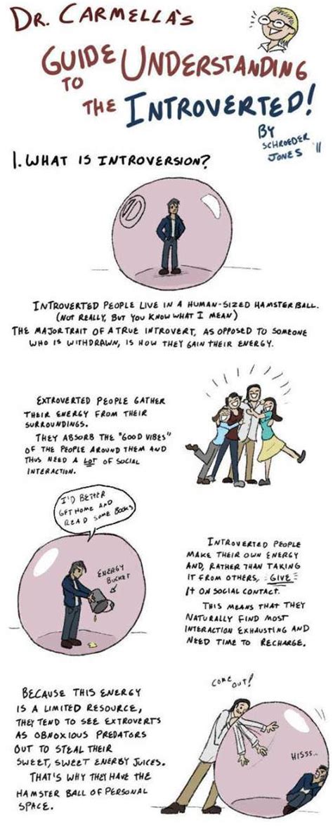 infographic for the introvert suzi pomerantz