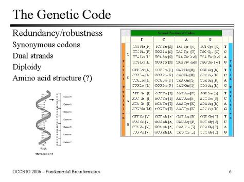Occbio 2006 Tutorial Fundamental Concepts Of Bioinformatics Michael