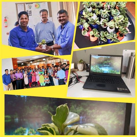 Ananthamoorthy Halambi On Linkedin Happyworkplace Saplingsatyour