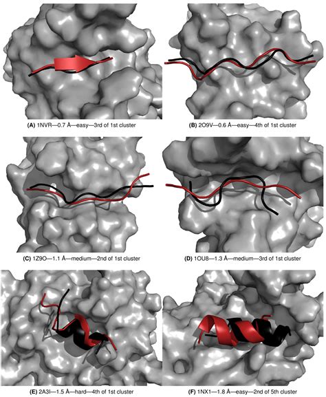 flexible docking of biological macromolecules theoretical biophysics t38 biomolecular dynamics