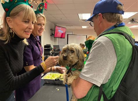 Drake Toby Legacy Dash Toby