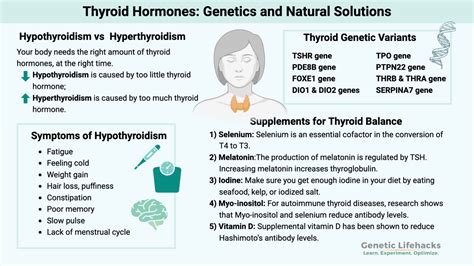 Thyroid Hormones Genes Hypothyroidism And T4 T3 Conversion
