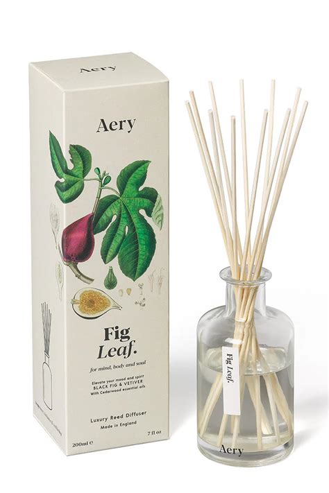 Luxury Reed Diffuser Fig Leaf Little Triffids Flowers