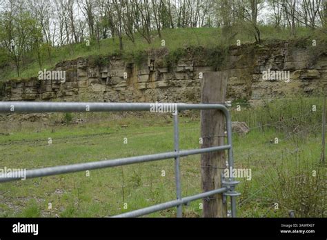 Disused Shell Limestone Outcrop Quarry Geology Shell Limestone