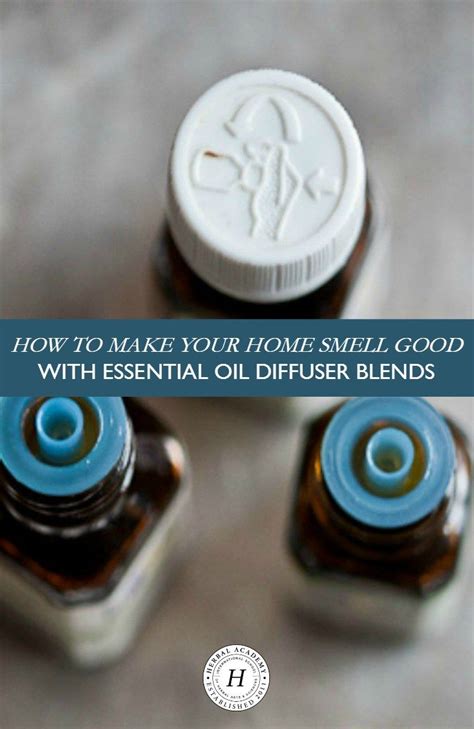 Create A Homey Atmosphere With Essential Oil Diffuser Blends