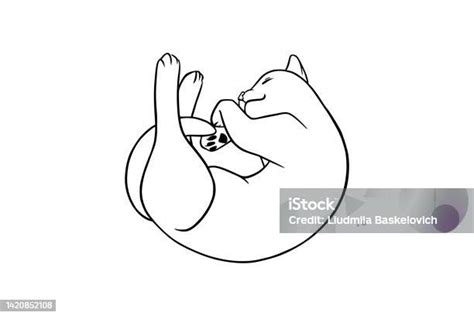 거짓말 고양이 검은 스케치 낙서 스타일의 장난기 많은 고양이 벡터 일러스트 레이 션 가공의 인물에 대한 스톡 벡터 아트 및 기타