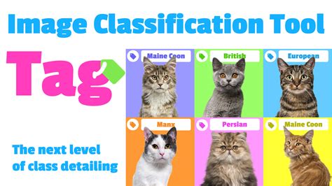 computer vision classification at carl eason blog