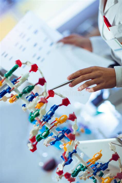 Scientist Looking At DNA Stock Photo Image Of Analyzing