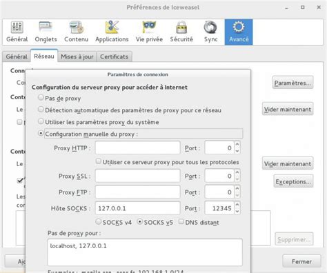 Quest Ce Quun Proxy Ssh Cours En Ligne