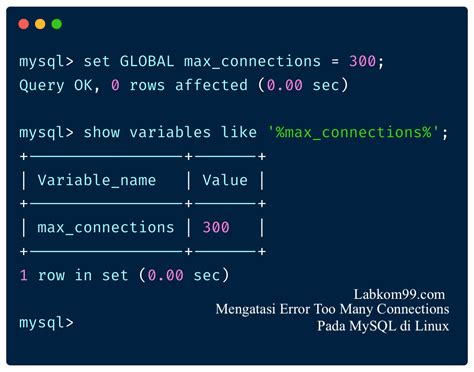 Too Many Connections Error Pada Mysql Di Linux