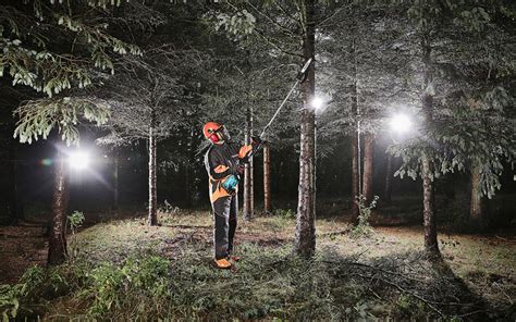 Tree Pruning Power Tools Tooled Up Blog