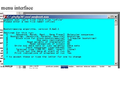 Steps Of The Phylogenetic Analysis Phylogenetic Analysis Is