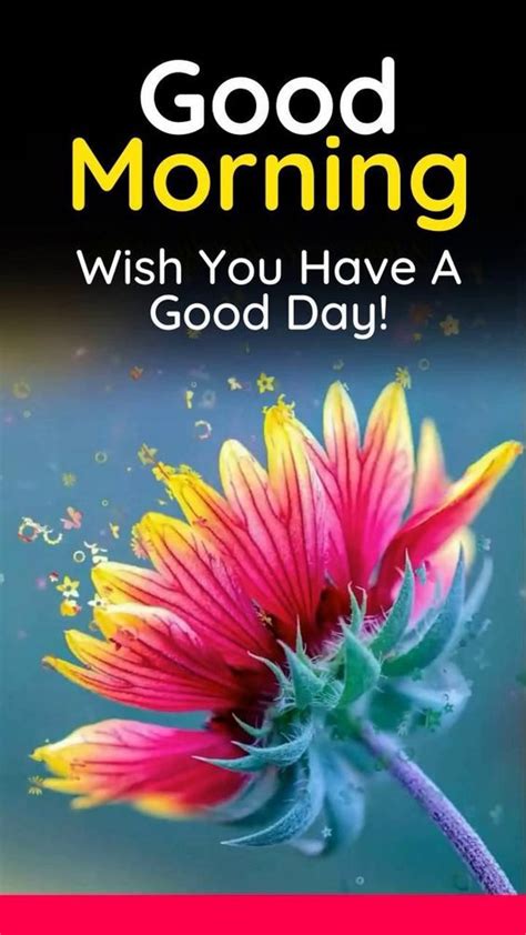 145 Good Morning Quotes And Wishes With Beautiful Images Explorepic