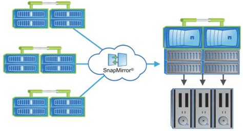 Netapp Snapmirror Data Protection Dp Mirrors Tutorial Flackbox