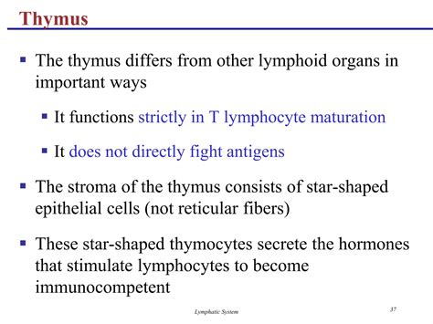 The Lymphatic System Ppt