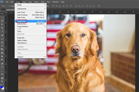 mastering layers transforms and image resizing tools in photoshop