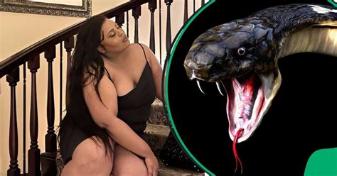 “i Think Shes A Mermaid” Sa Gagged By Lady Swimming With Python In White Umfolozi River “i Think Shes A Mermaid” Sa Gagged By Lady Swimming With Python In White Umfolozi River