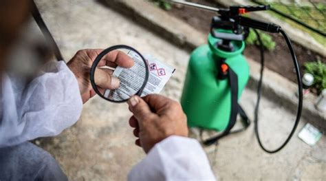 Licensing Requirements For Pest Control In Melbourne