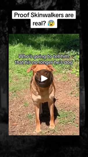 319k Views · 18k Reactions Proof Skinwalkers Are Real Skinwalker
