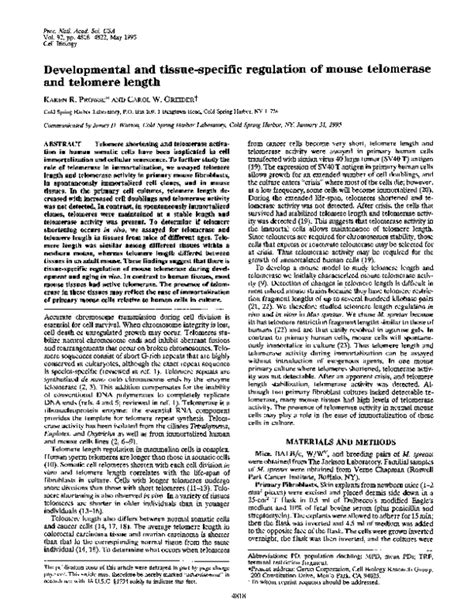 Pdf Developmental And Tissue Specific Regulation Of Mouse Telomerase