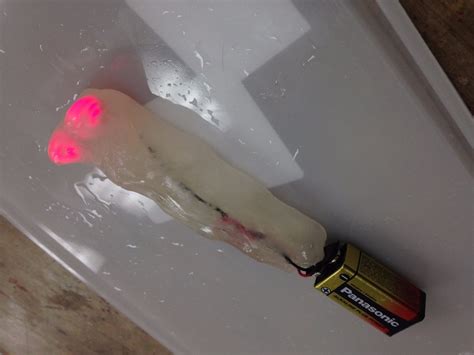 Instamorph 11 Steps Instructables