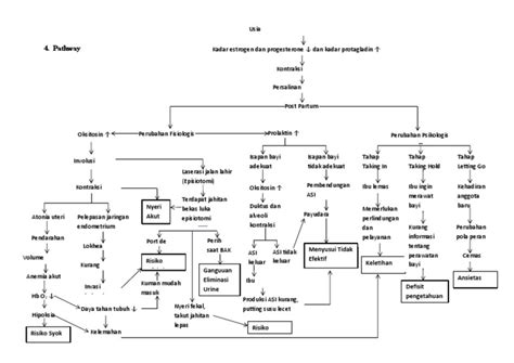 Pathway Post Partum Pdf