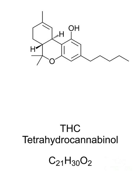 Thc Molecule Drawing