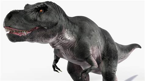 T Rex Idle Animated Rigged 3d Model 179 Max Free3d