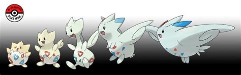 Pokemon Togepi Evolution