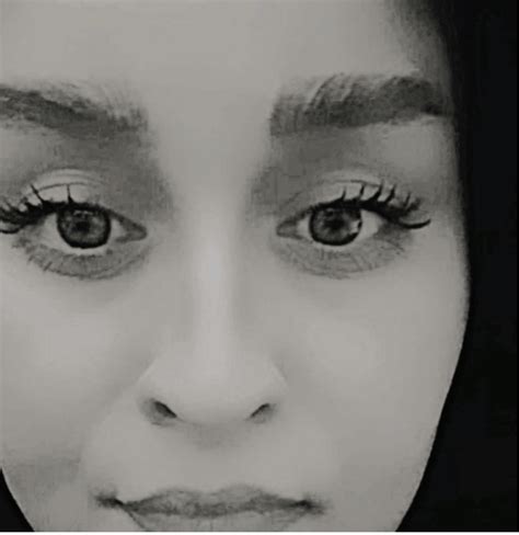 شیرین یاهو بانی‌کستر