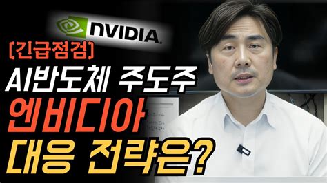 긴급점검 급상승한 AI반도체 주도주 엔비디아 지금의 대응 전략은 YouTube