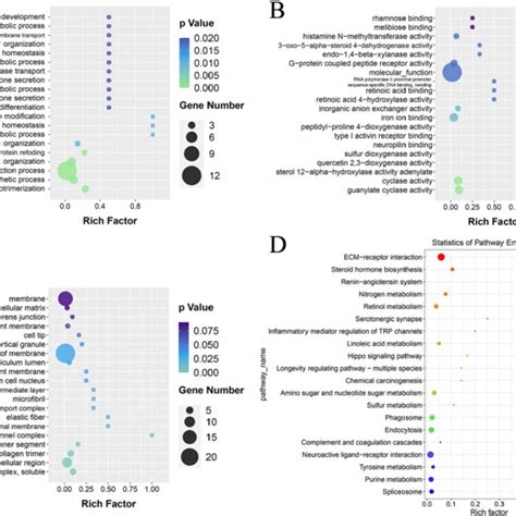 Transcriptome Analysis Of Eg And Cg A Differential Gene Expression