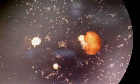 Scientists Who Developed The Worlds First Alive Robots Now Claim That They Are Capable Of