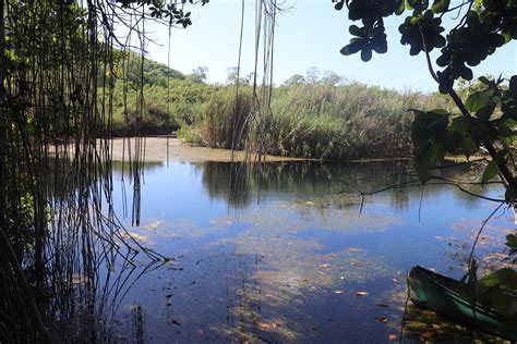 Welcome To Canoe Valley National Environment And Planning Agency